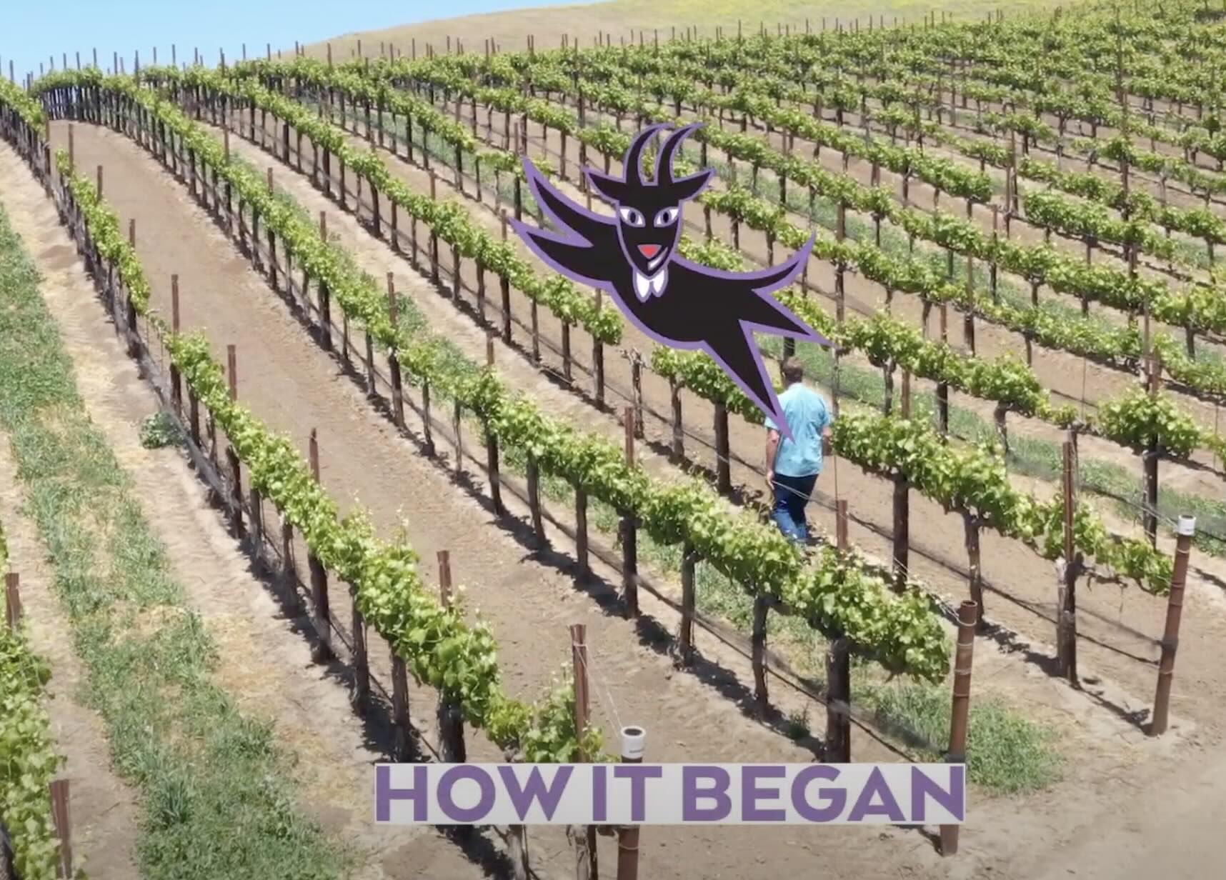 Flying Goat Cellars Video Premiers with 25 Year History