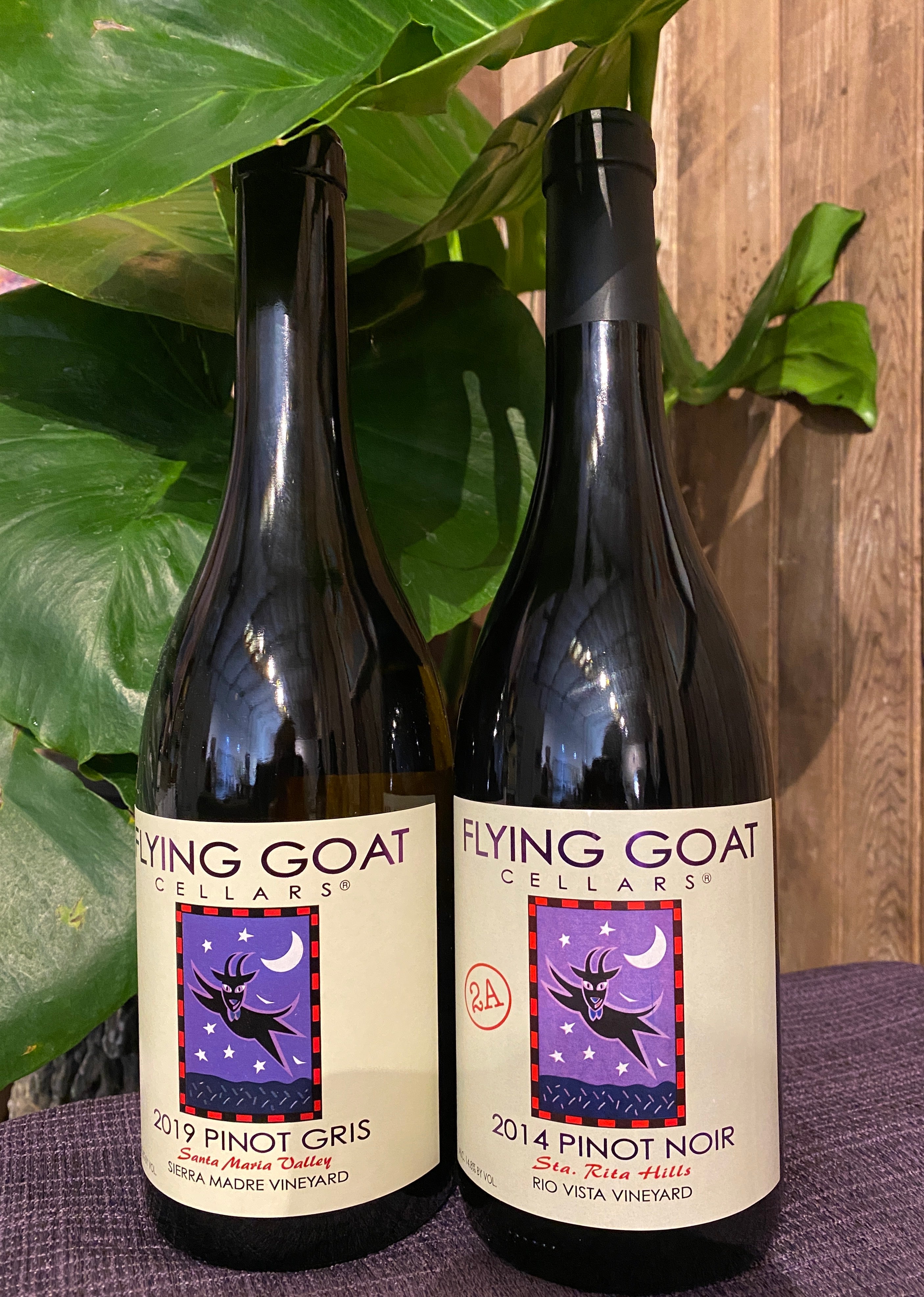 March Wine Specials – Flying Goat Cellars