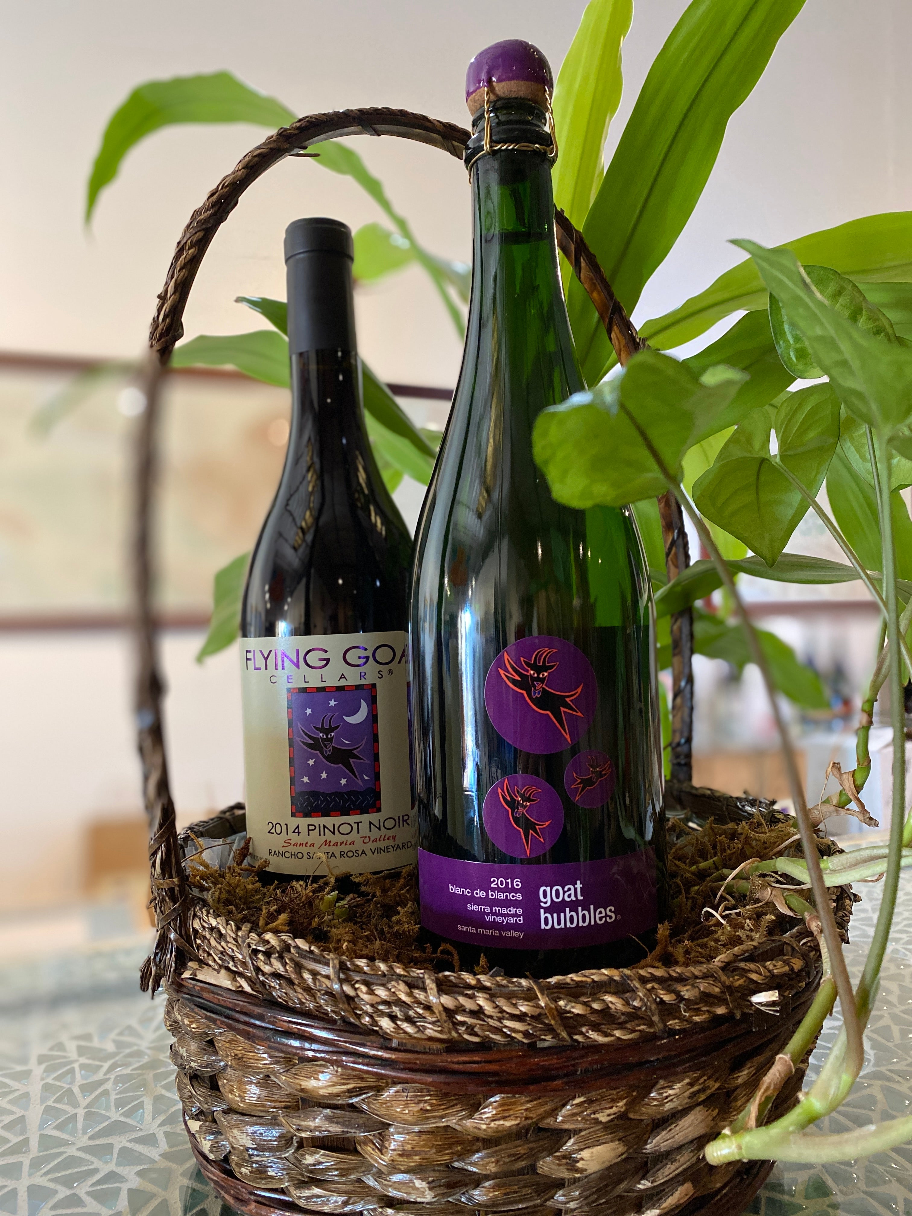 March Wine Specials – Flying Goat Cellars